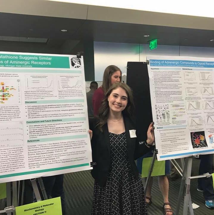 MSU-The Geiger Research Group