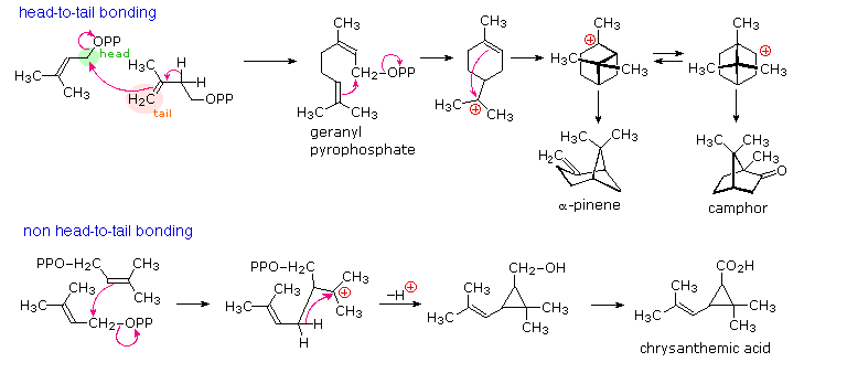 Lipid Biosynthesis - Chemistry LibreTexts