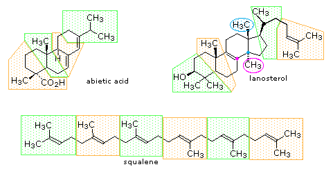 19.6: How Terpenes Are Biosynthesized - Chemistry LibreTexts
