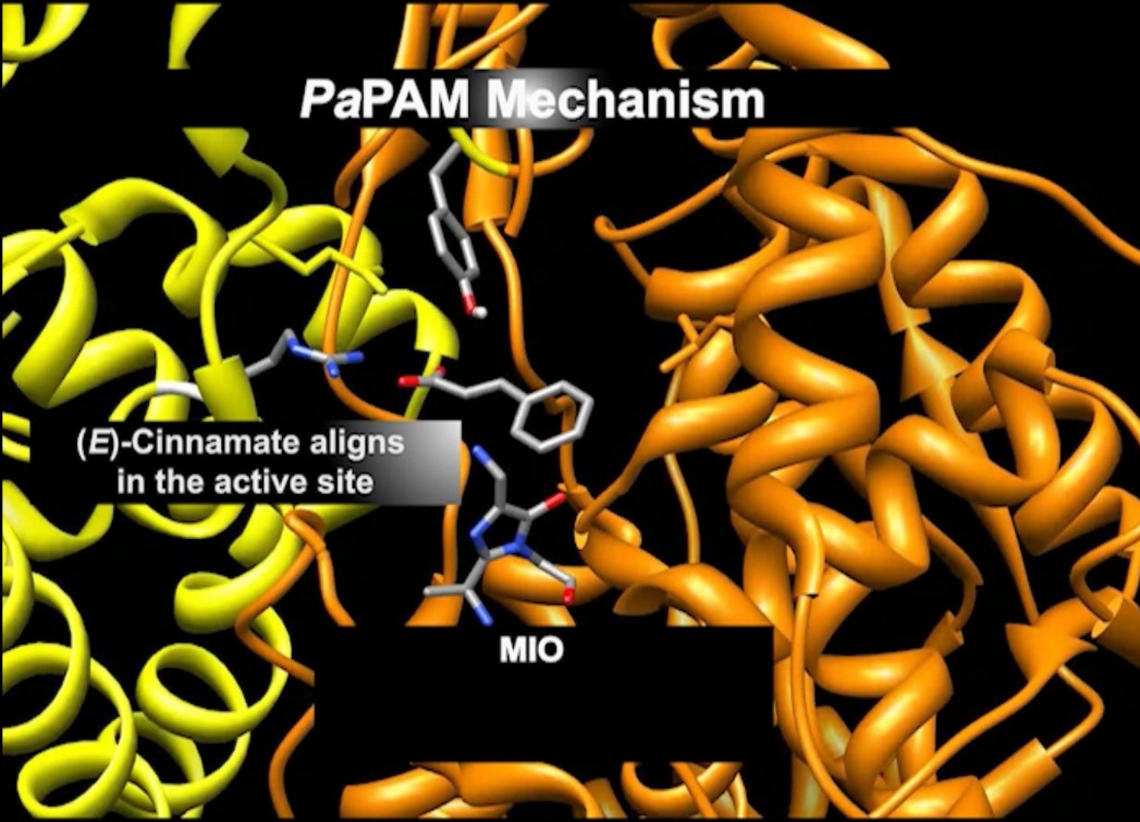 Michigan State University